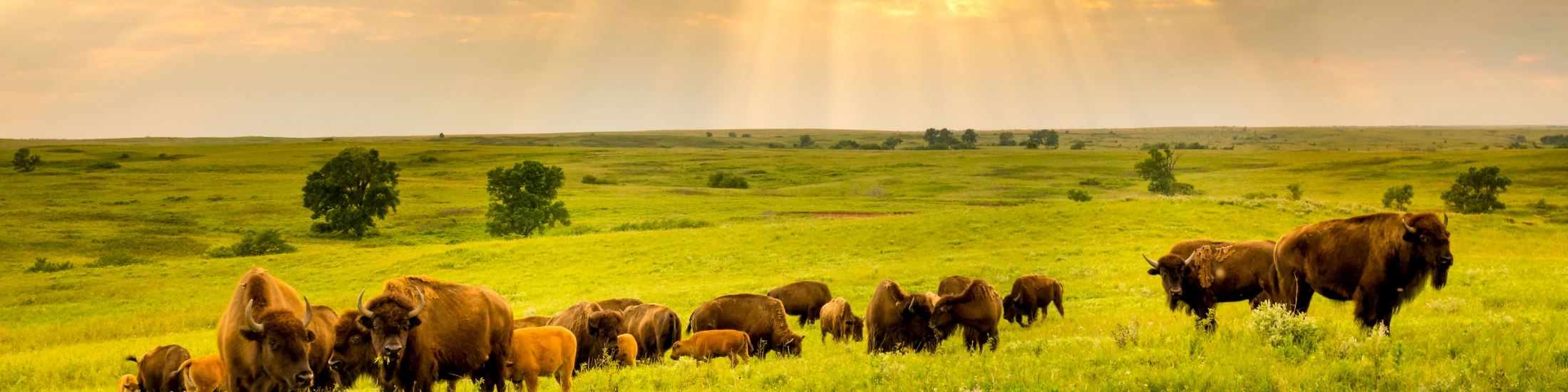 Geary County, KS | Official Website